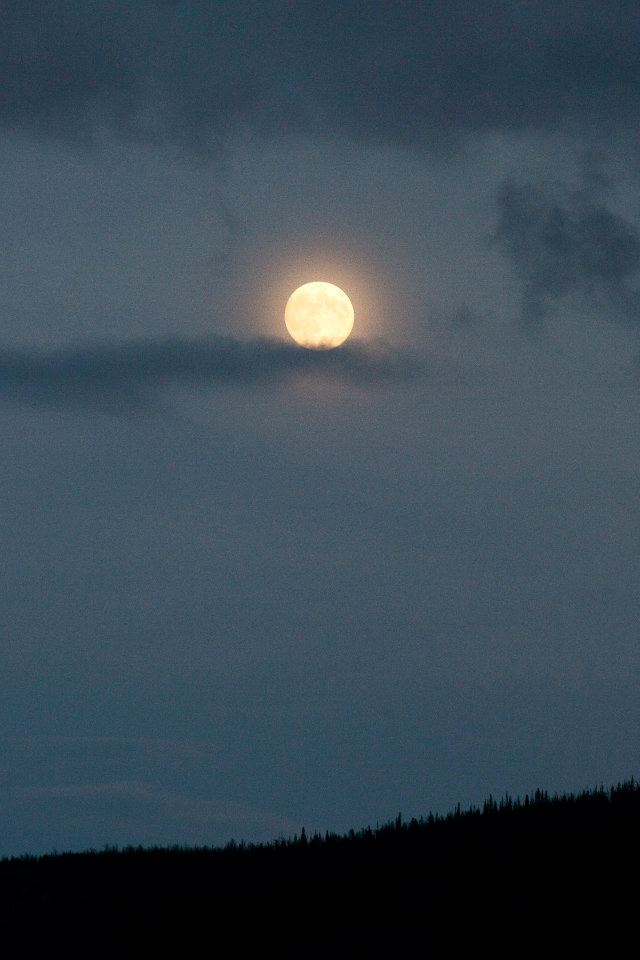 Moon Walks at Black Hills National Forest: Embrace the Night!