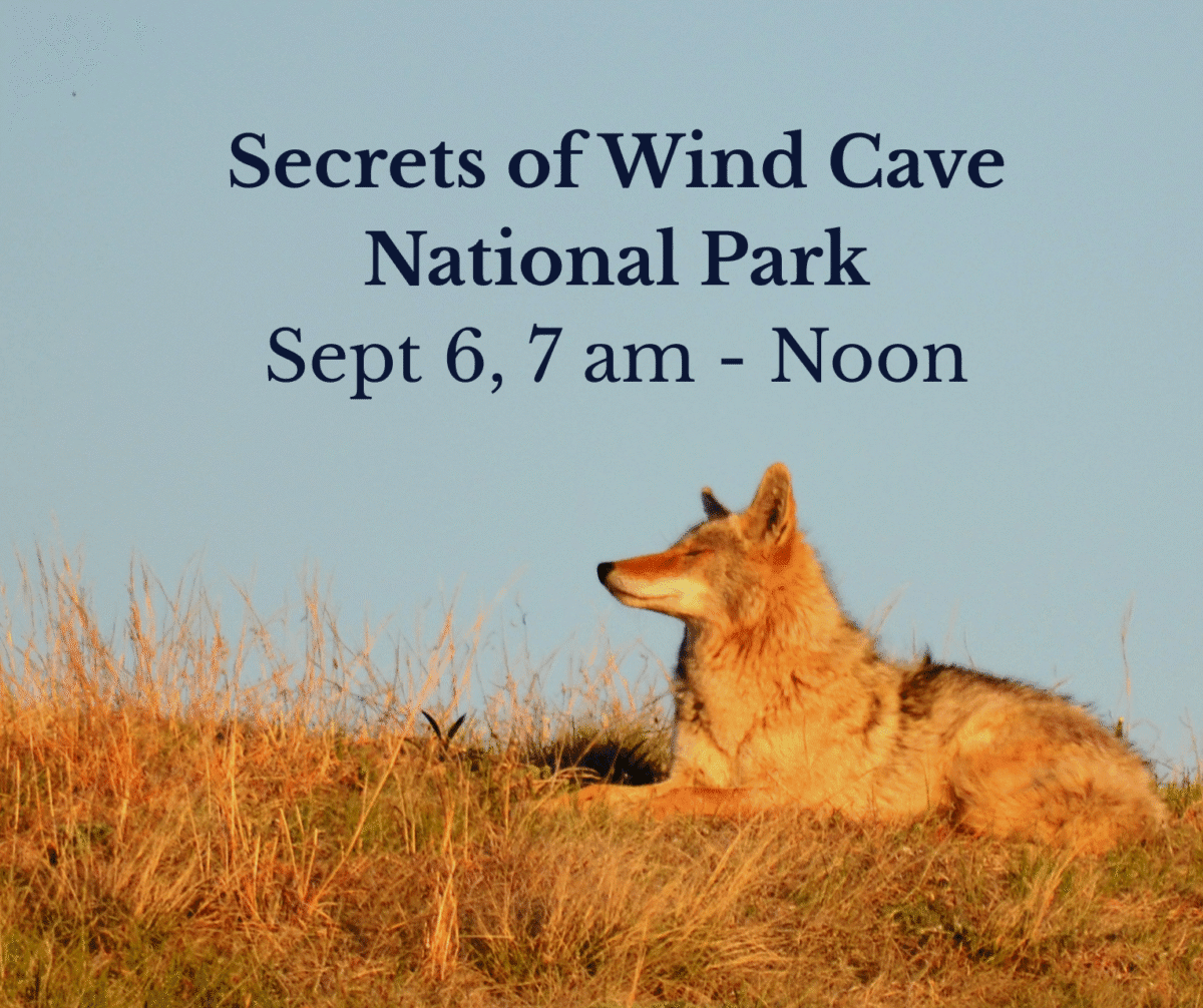 Secrets of Wind Cave National Park - Black Hills Parks & Forests ...